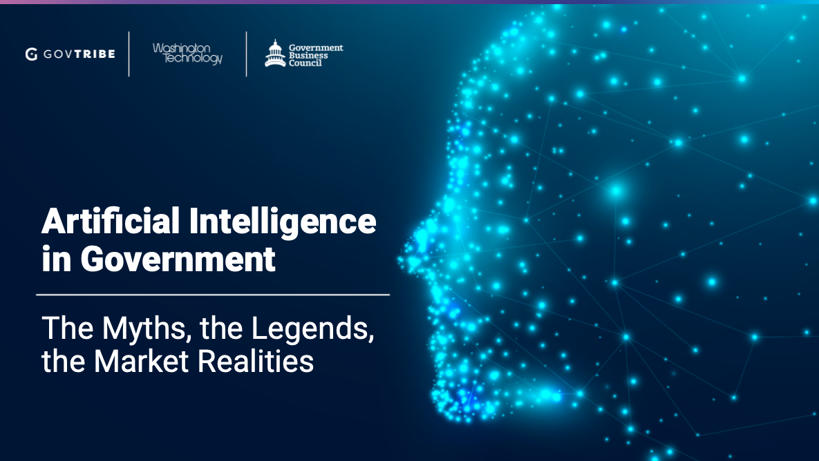 ai-in-government-myths-legends-market-realities